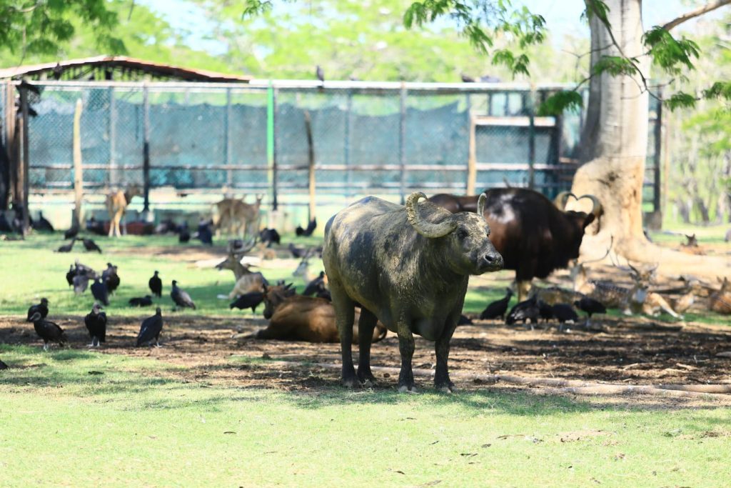 Área Natural del Yumká una opción en vacaciones - La Chispa de Tabasco